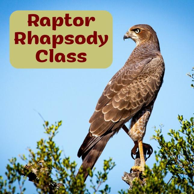 Wild Birds Unlimited - Nature Shop